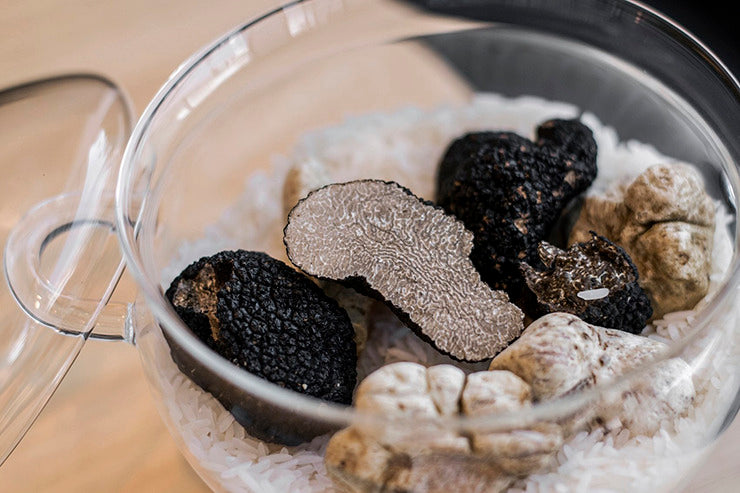 Truffles knowledge: Storing Truffles Properly – Royal Caviar Club Limited